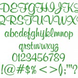 Stitch Delight | Secrets Of Embroidery|Lacey Font