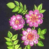 Outback Embroidery | Secrets Of Embroidery