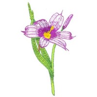 Outback Embroidery | Secrets Of Embroidery|Flower Garden 2