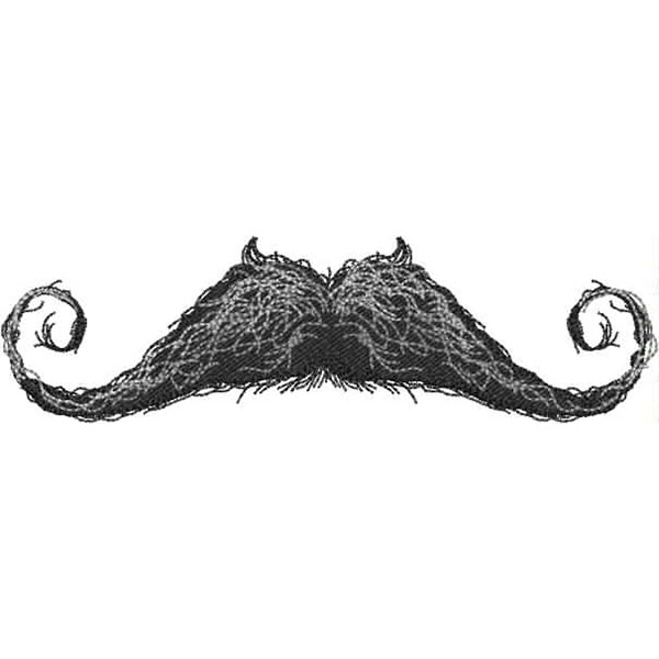 Kreations By Kara | Secrets Of Embroidery|Color Slash Feather